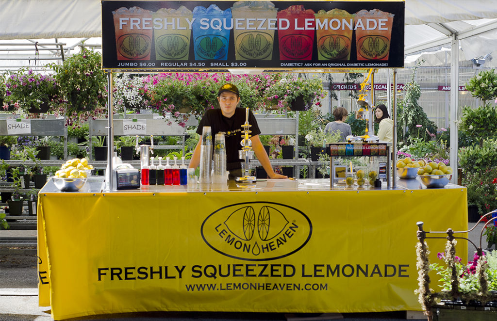 Franchise Information | Lemon Heaven