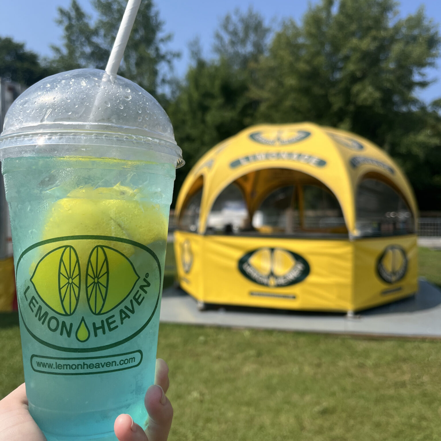 Limonade Montreal - Montreal QC | Lemon Heaven